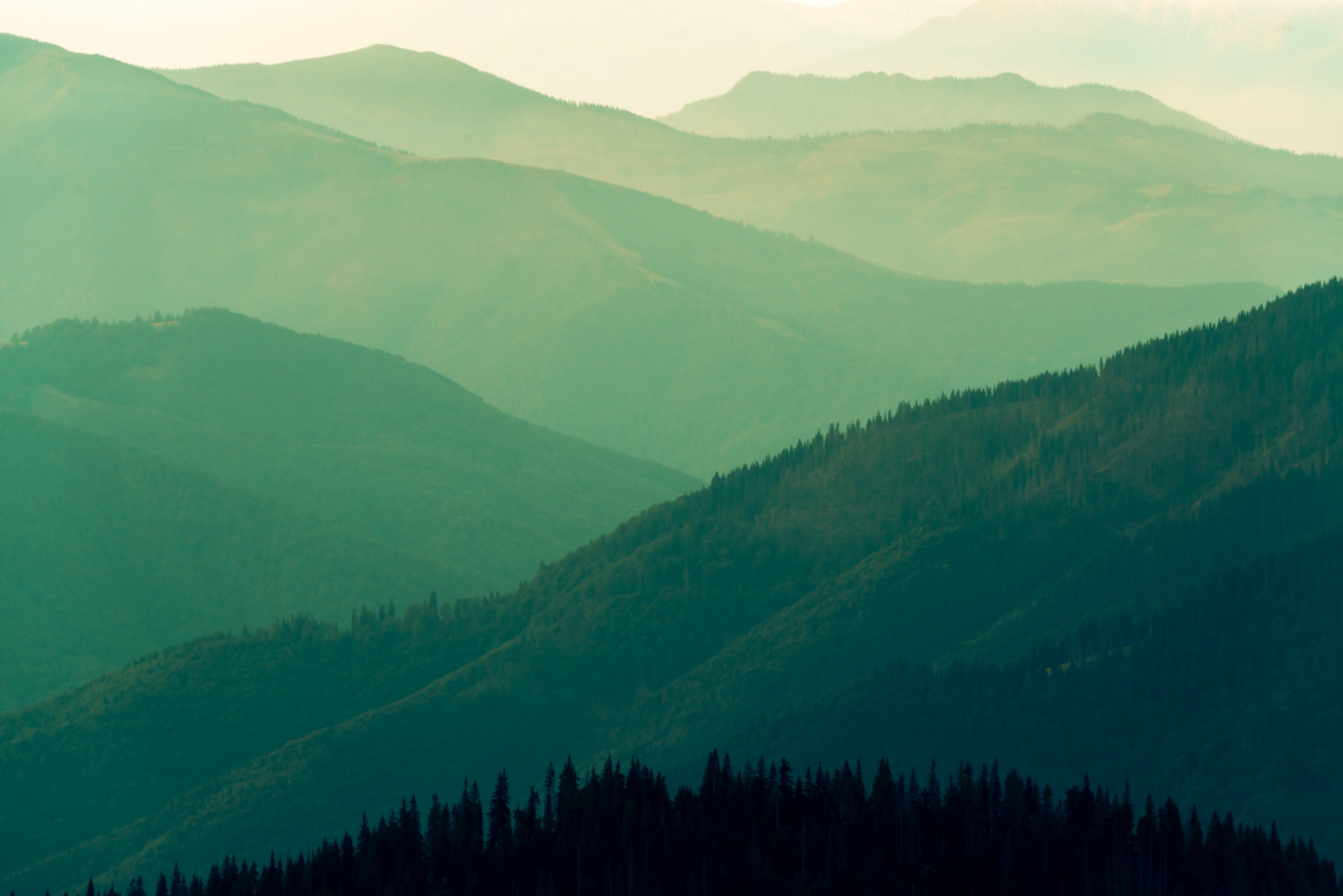 NTT DATA führt „SAP Integration with SiGREEN“ als Teil von Siemens ...