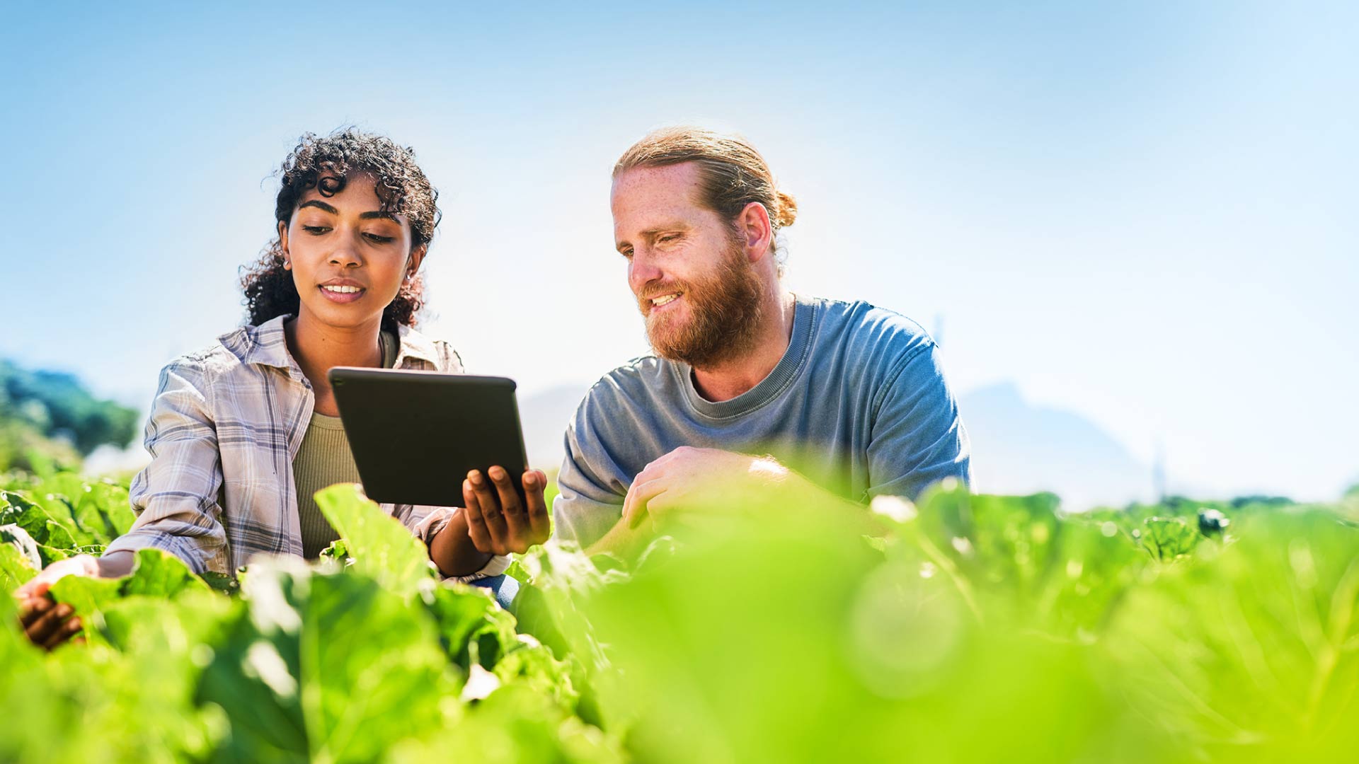 CSR Directive: Normativa UE per la Sostenibilità | NTT DATA