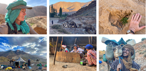 The Atlas Expedition | NTT DATA